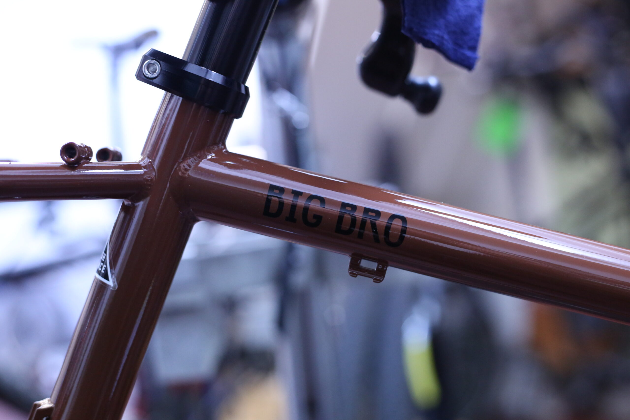 Brother Big Bro and Rohloff Speedhub combo.